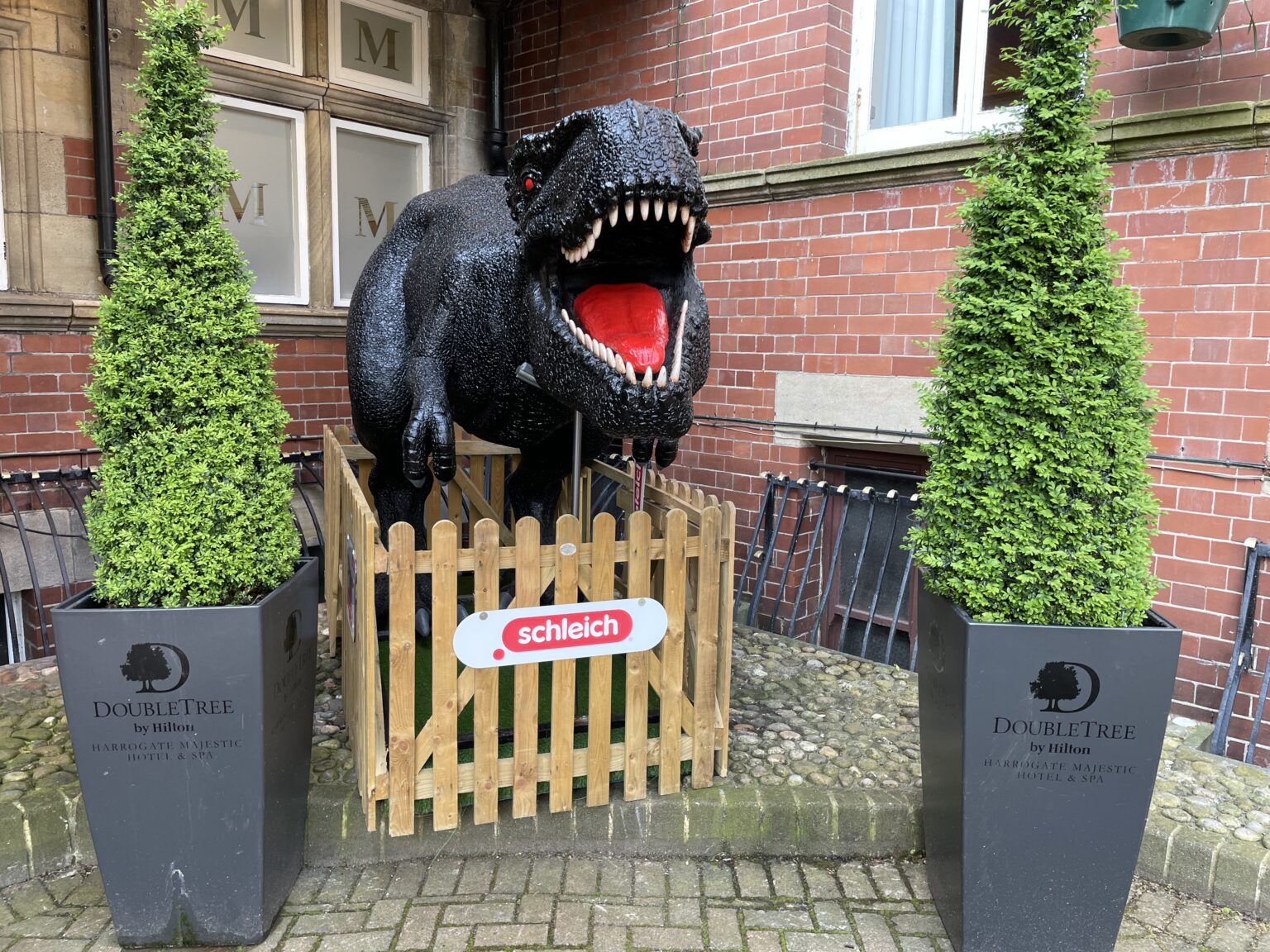 Home - Toymaster May Show